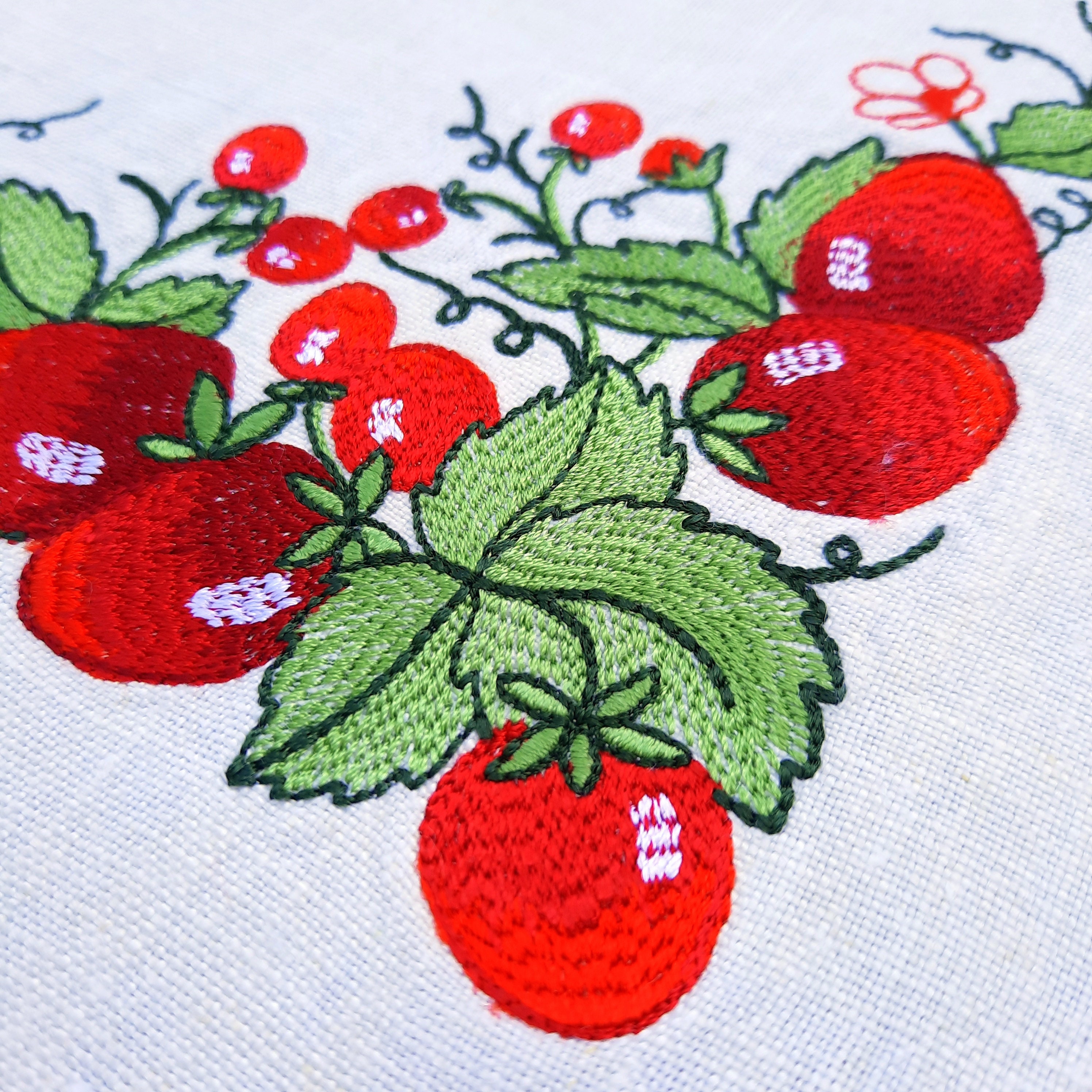 Strawberry Corner SET in 2 Sizes Machine Embroidery Design, Sketch ...
