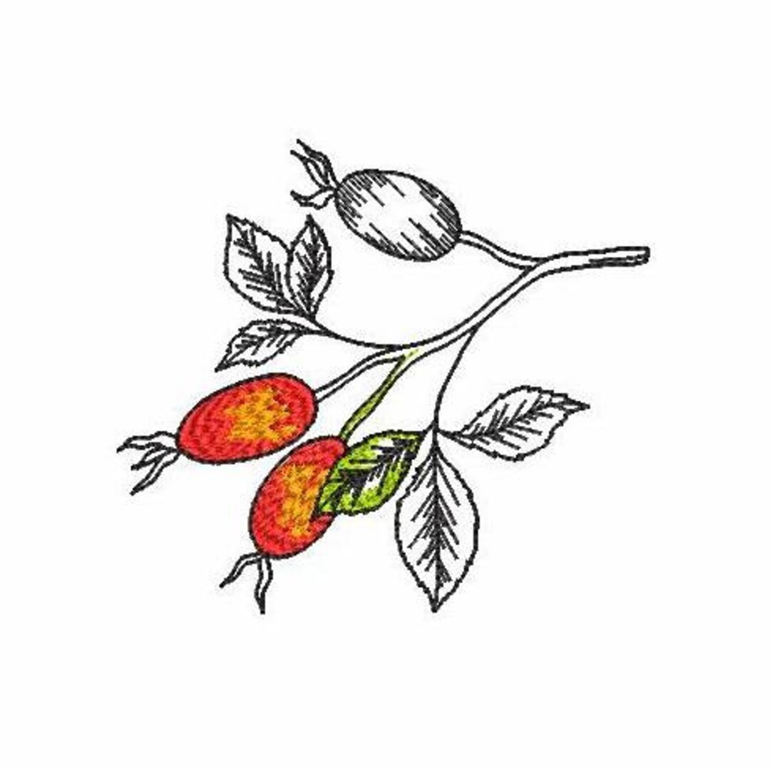 Rosehip Berries Machine Embroidery Design 3 SIZES, Dog-rose Berries ...