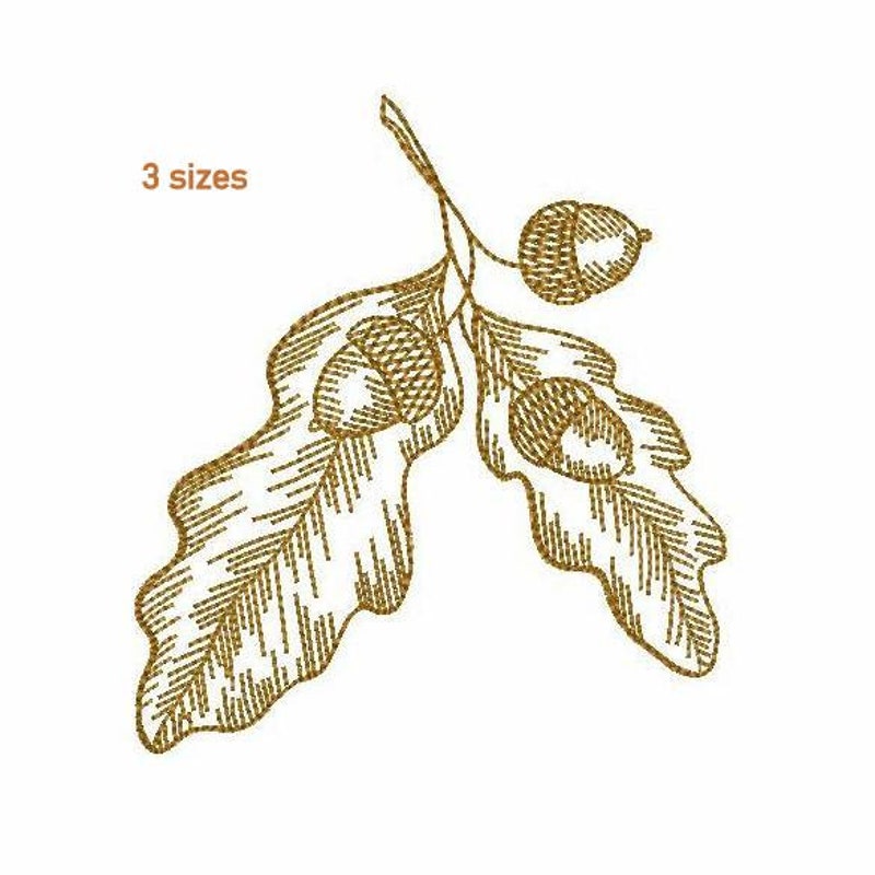 Acorn Embroidery - Etsy
