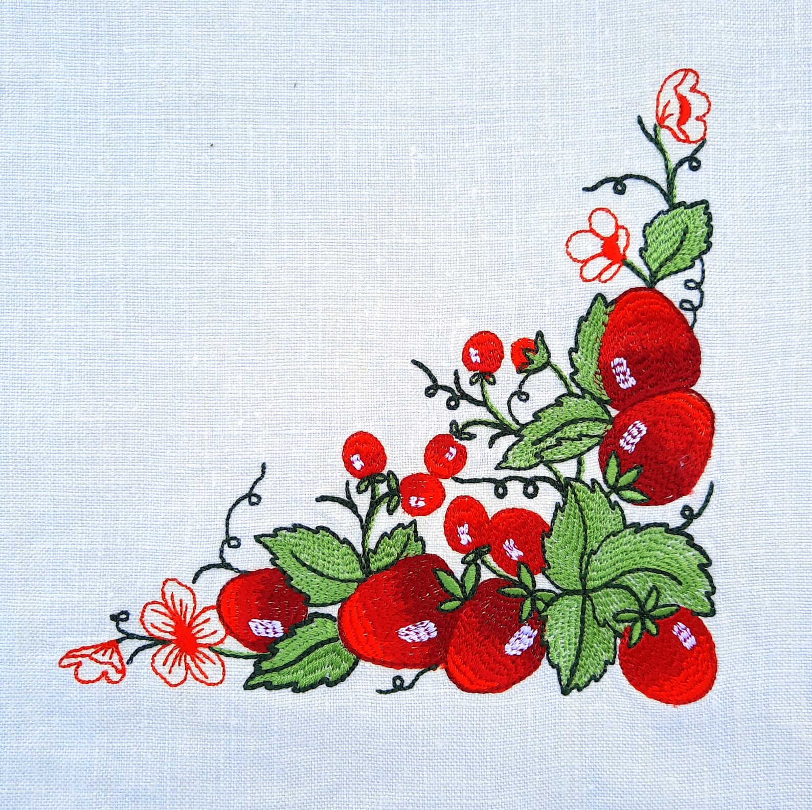 Strawberry Corner SET in 2 Sizes Machine Embroidery Design - Etsy