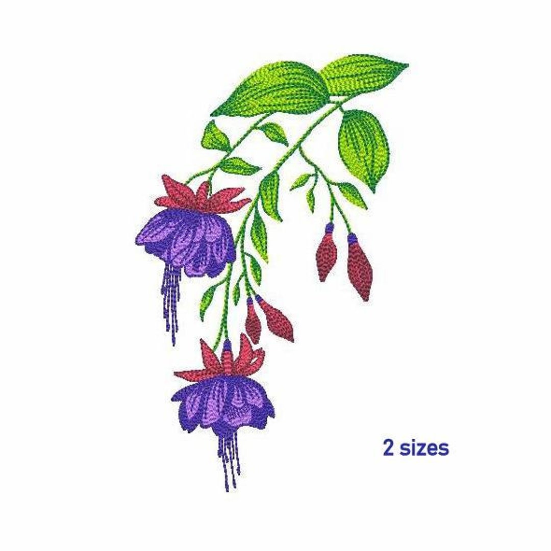 Fuchsia Machine Embroidery Design 2 SIZES, Sketch Machine Embroidery ...