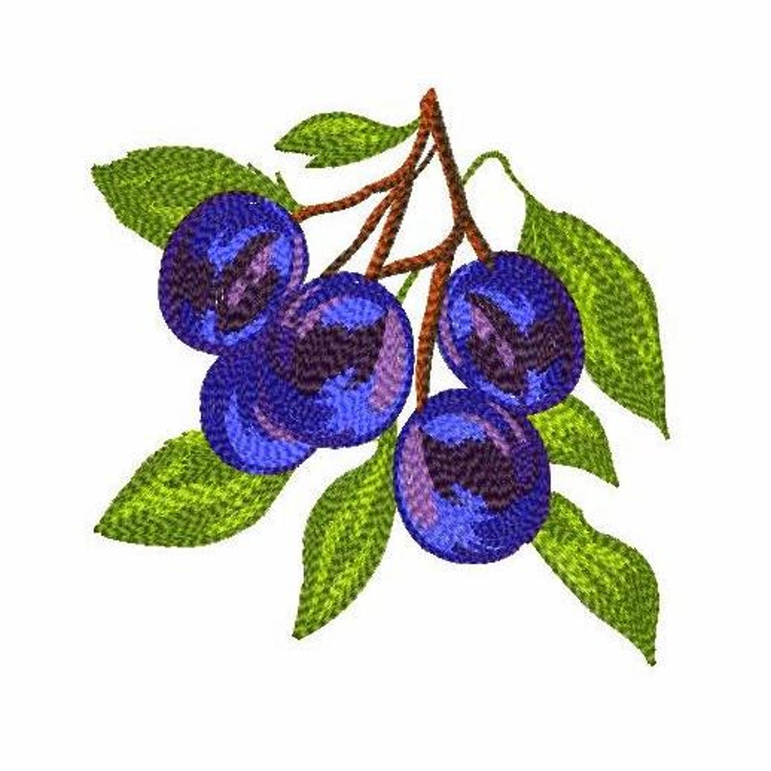 Plums Machine Embroidery Design - 4 SIZES, Fruit Digital Embroidery ...