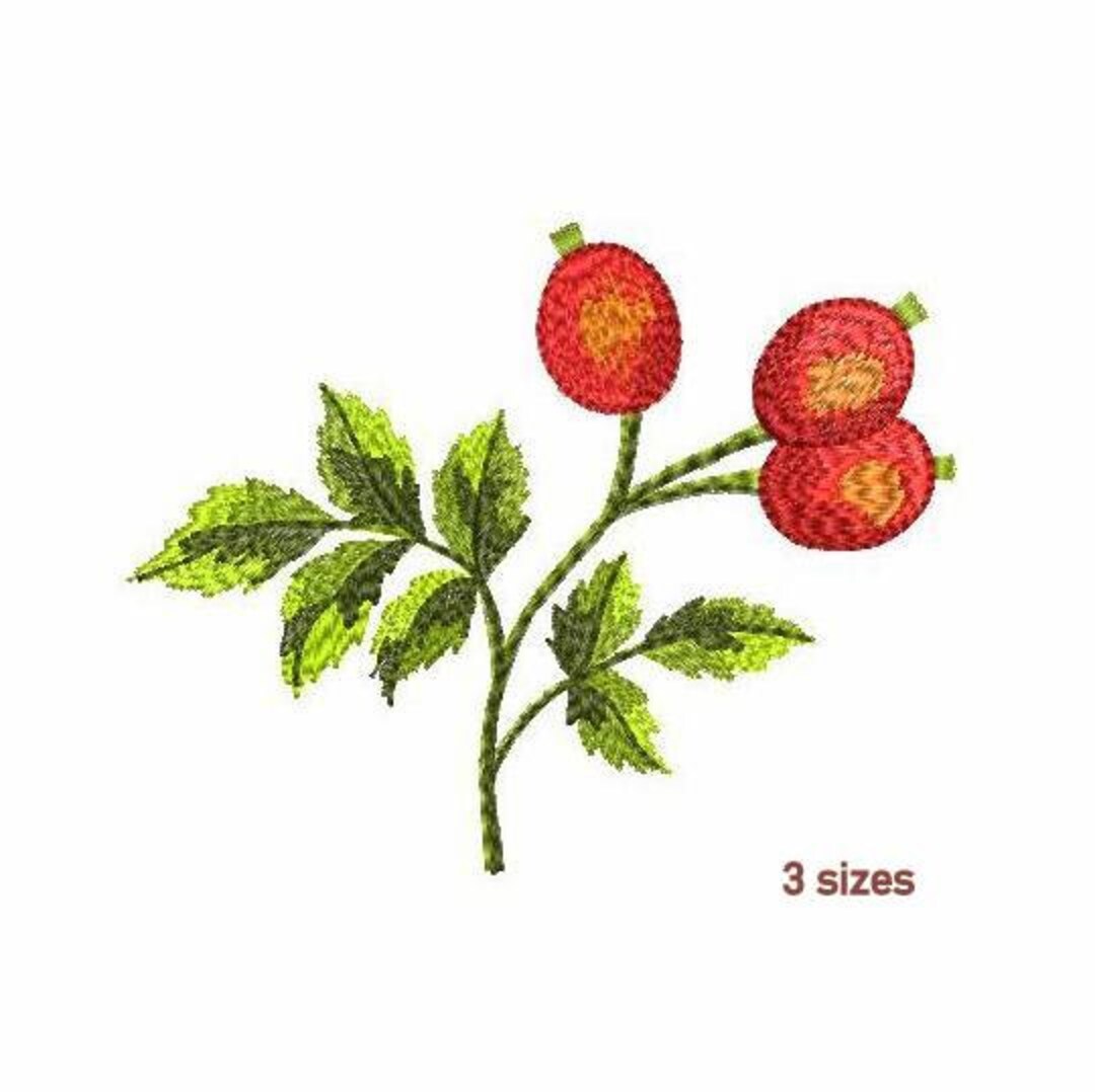 Rosehip Berries Machine Embroidery Design 3 SIZES, Dog-rose Berries ...