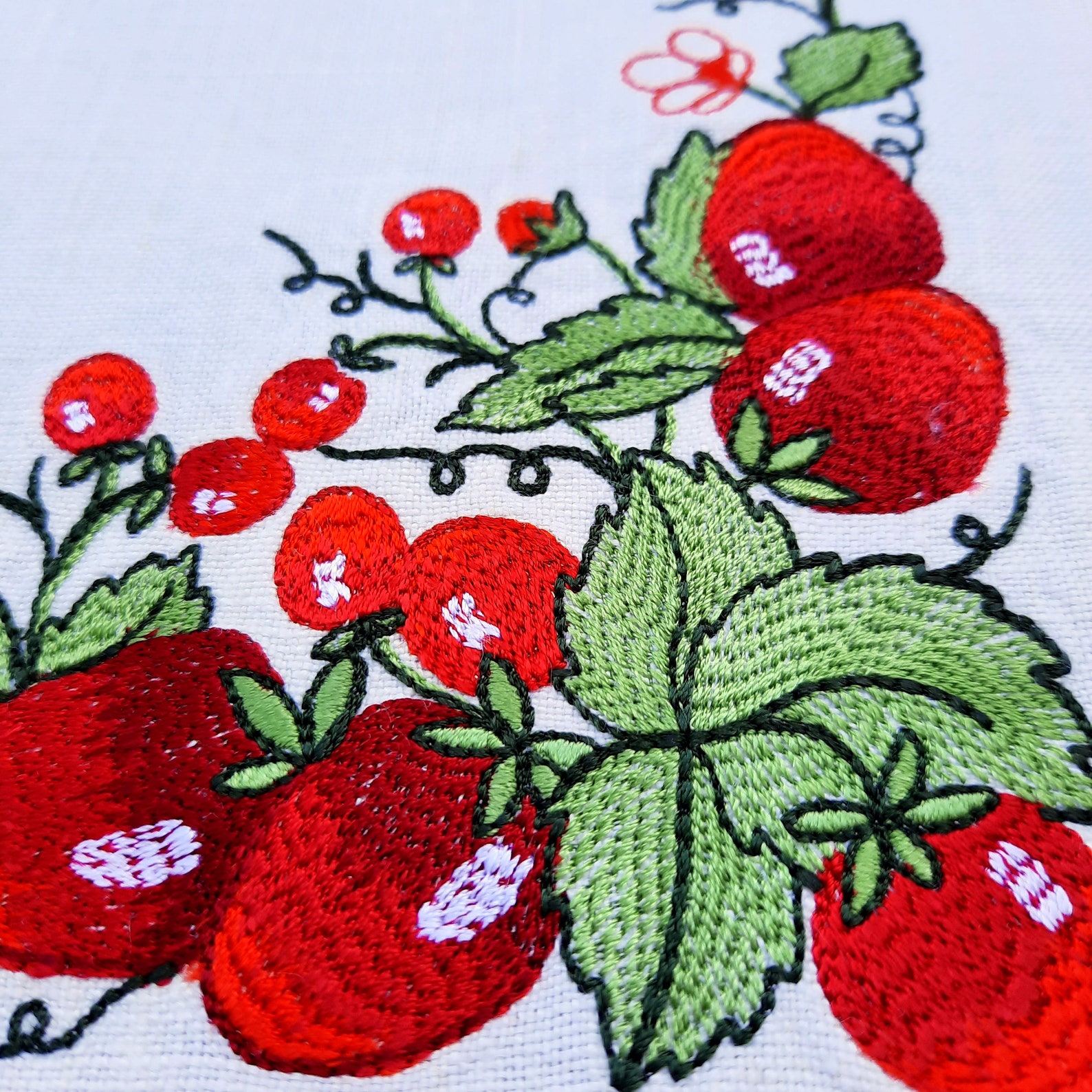 Strawberry Corner SET in 2 Sizes Machine Embroidery Design, Sketch ...
