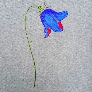 Bellflower Machine Embroidery Design 2 SIZES, Field Bluebell Digital ...