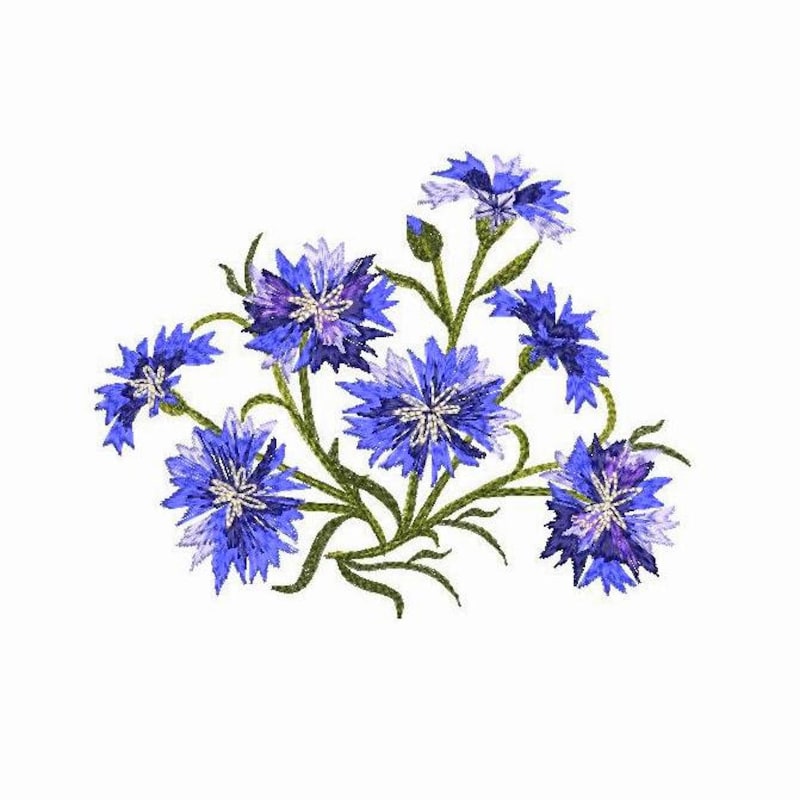 Cornflower Pattern - Etsy