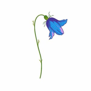 Bellflower Machine Embroidery Design 2 SIZES, Field Bluebell Digital ...