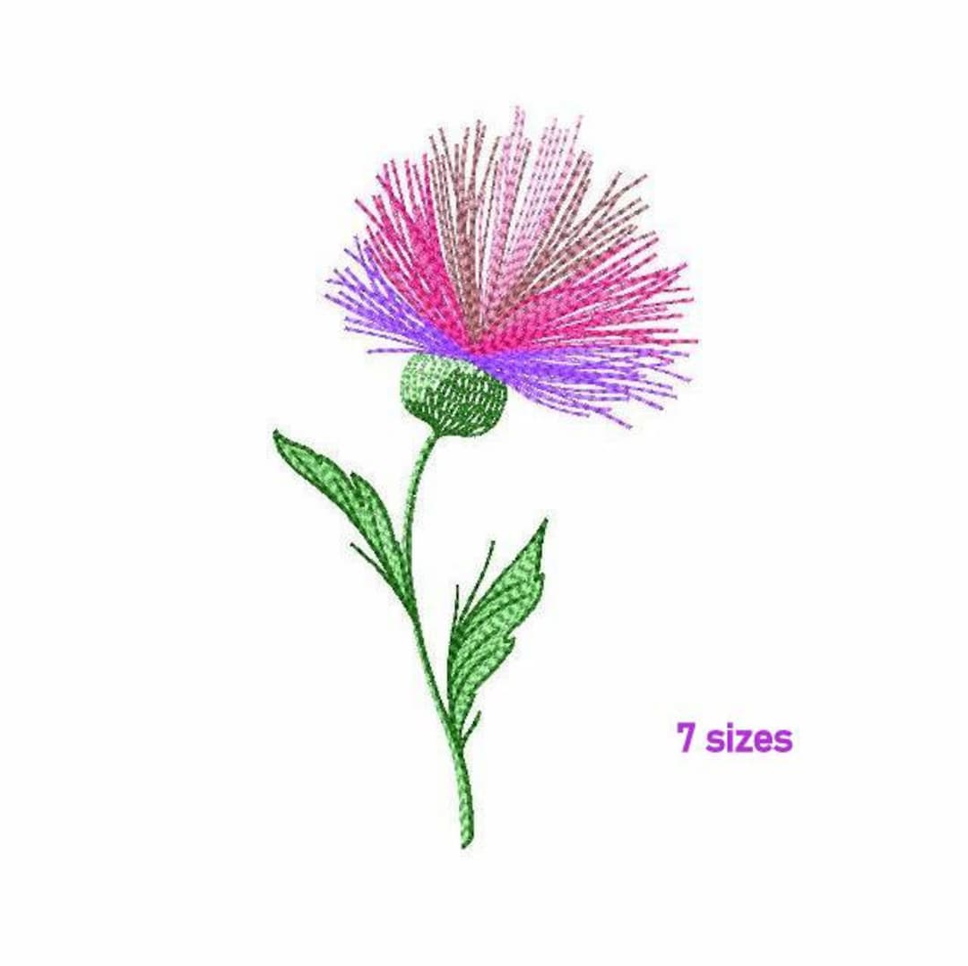 Thistle Machine Embroidery Design 7 SIZES, Thistle Flower Digital ...