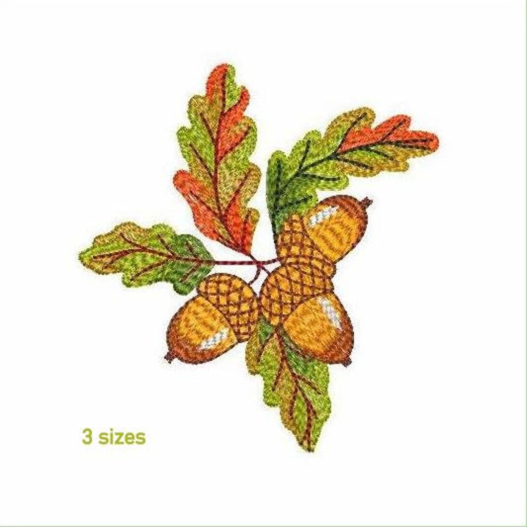 Acorns Machine Embroidery Design 3 SIZES, Acorn Nut & Oak Leaves ...