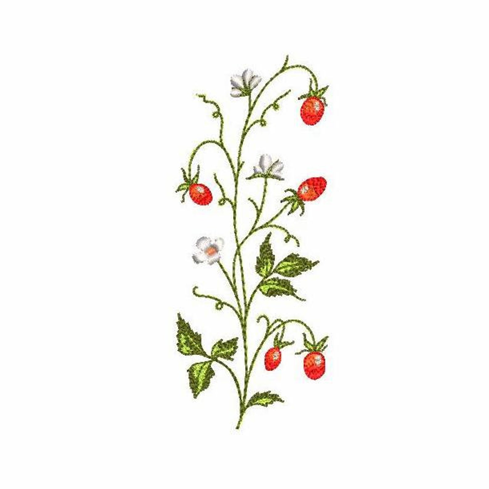 Strawberry Machine Embroidery Design 4 SIZES, Red Strawberry Branch ...