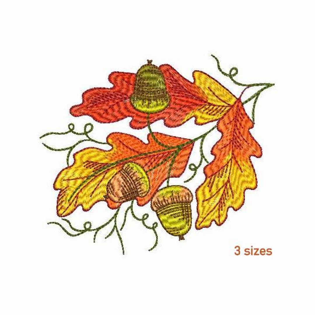 Acorns Machine Embroidery Design 3 SIZES, Sketch Machine Embroidery ...