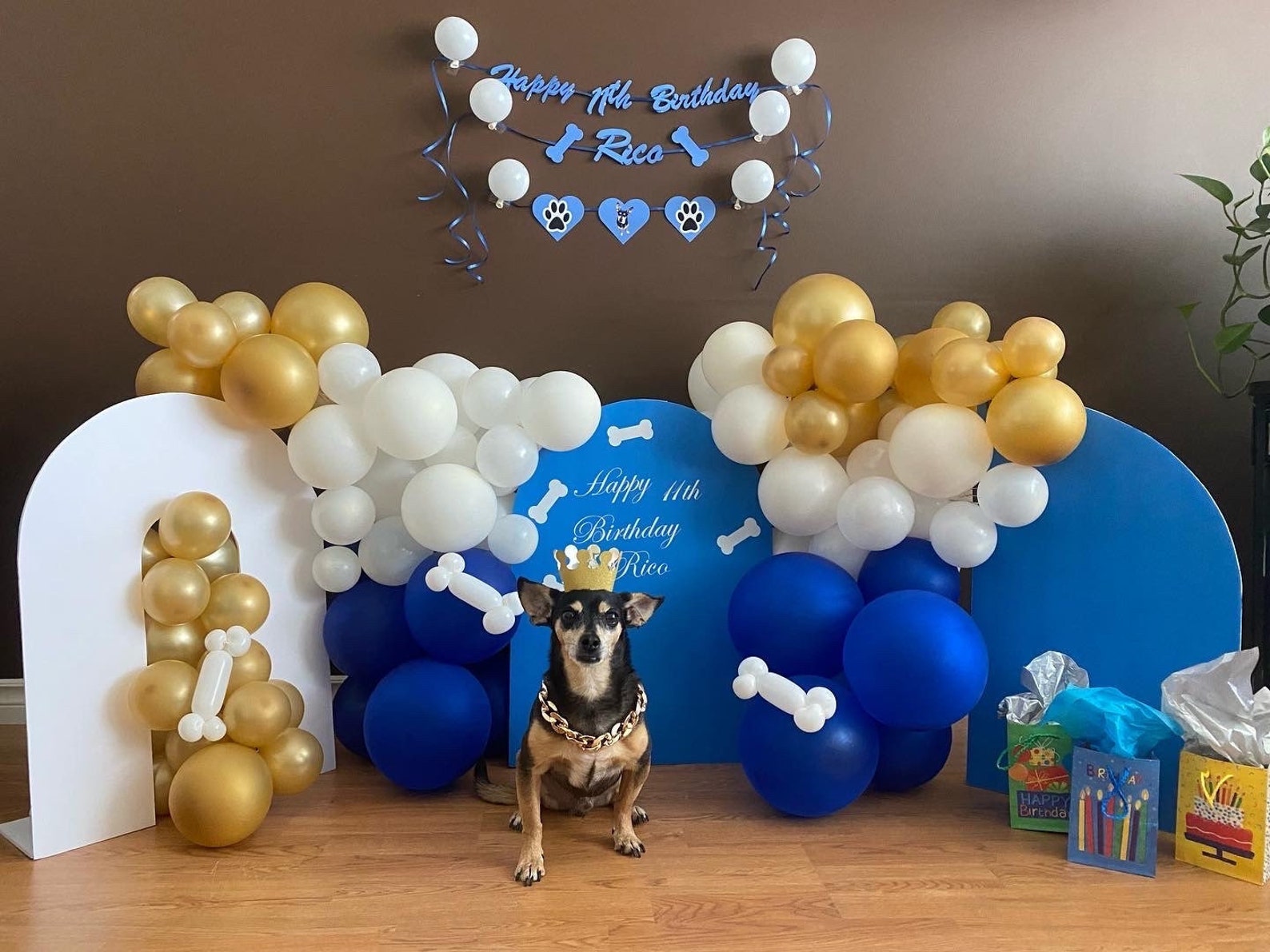 Groovy Wall Prop Template Chiara Wall Backdrop Template - Etsy