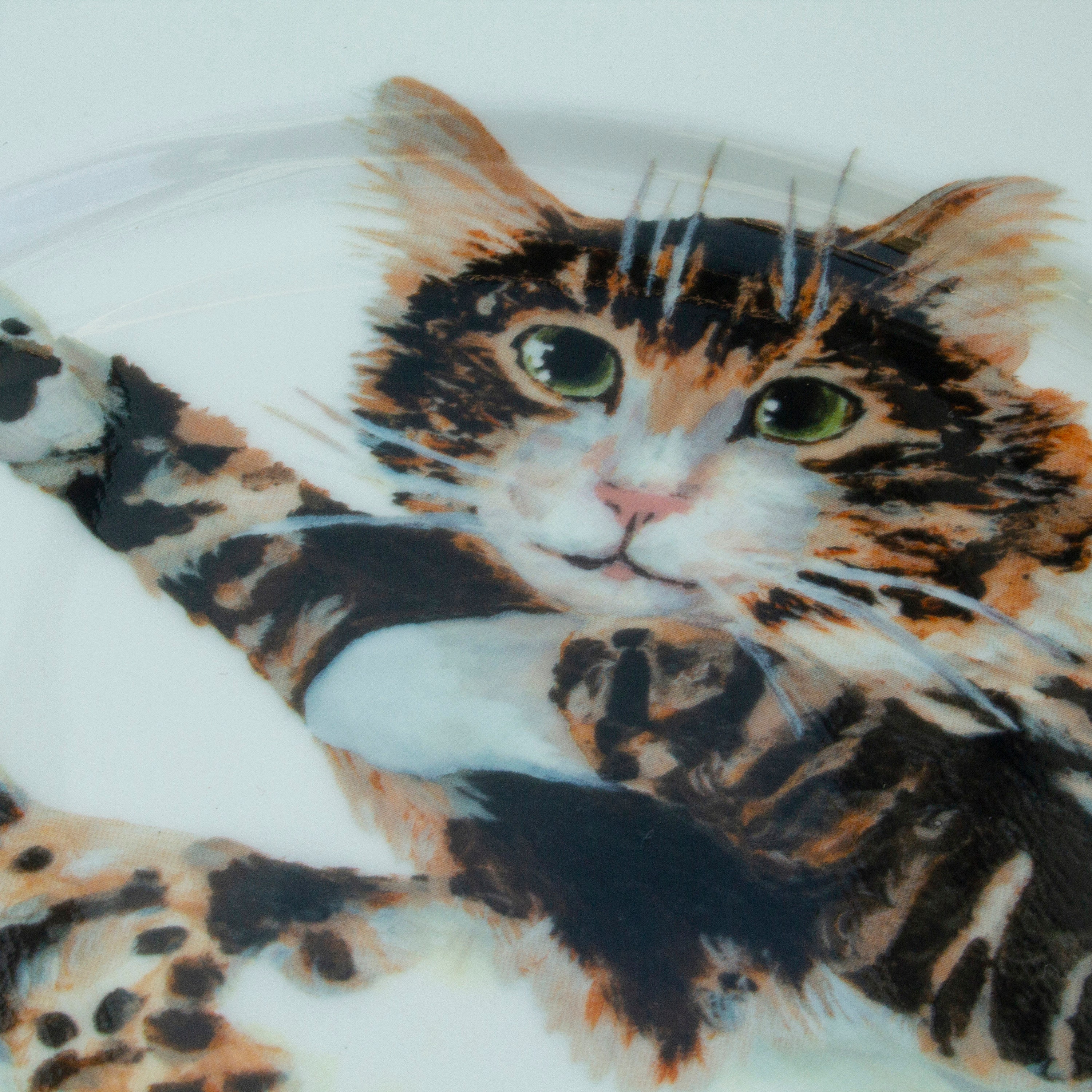 Cute Painted Tabby Cat Plate Mothers Day Present | Etsy