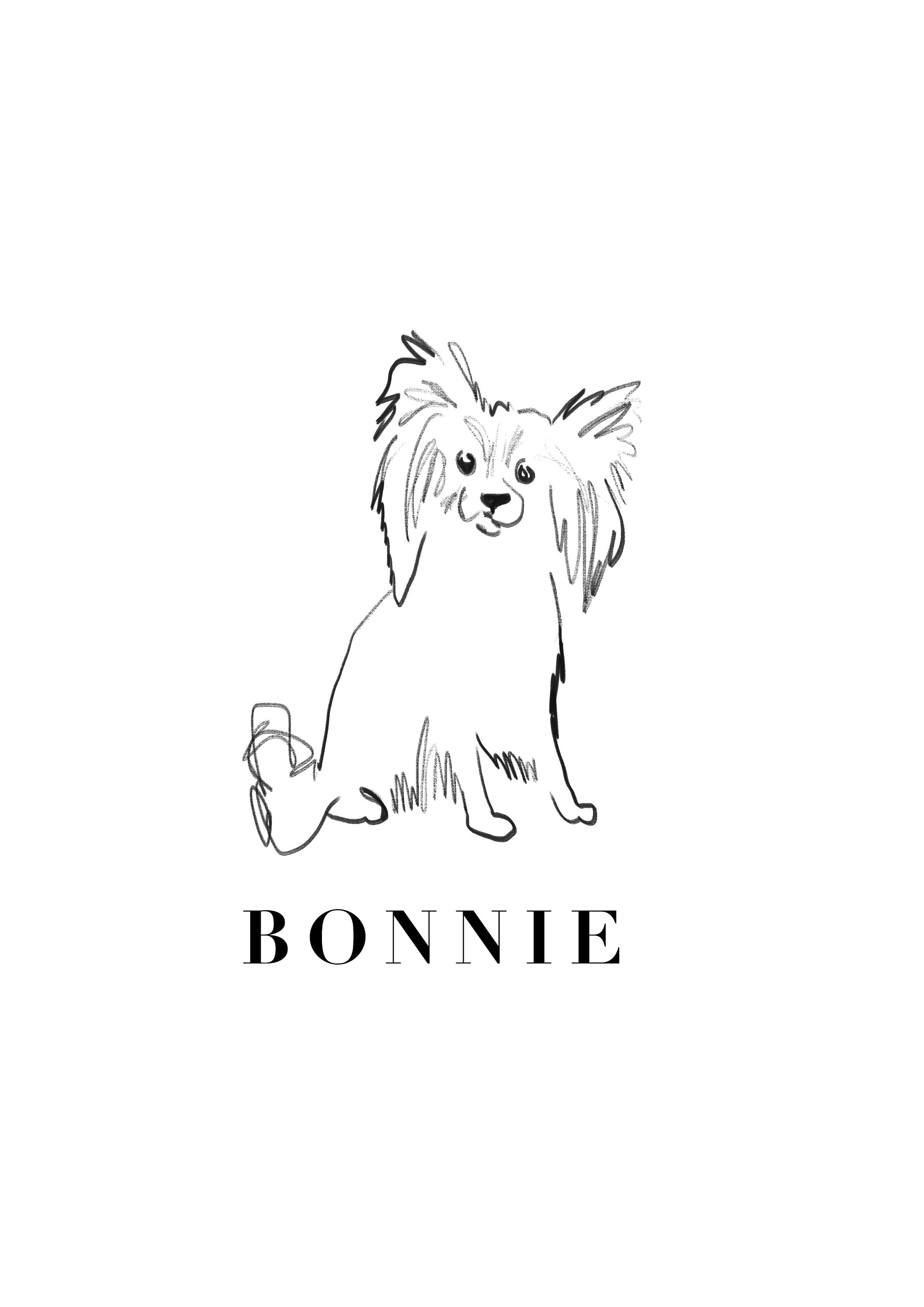 Custom Dog Poster Papillon Dog Poster Papillon Dog Print Original ...
