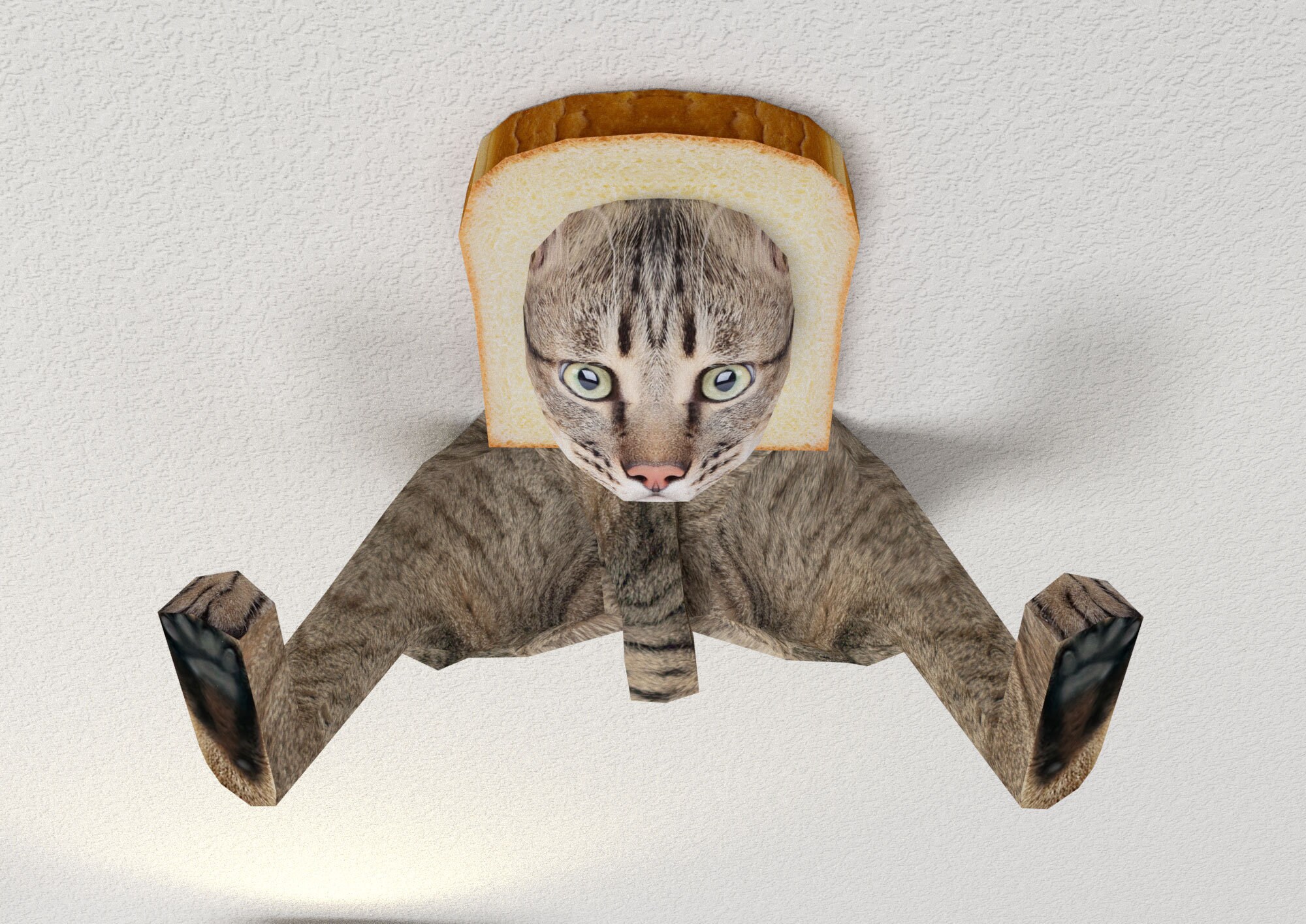 3D Paper Craft Low Poly Object Art Doll Model Pattern DIY - CAT & BREAD ...