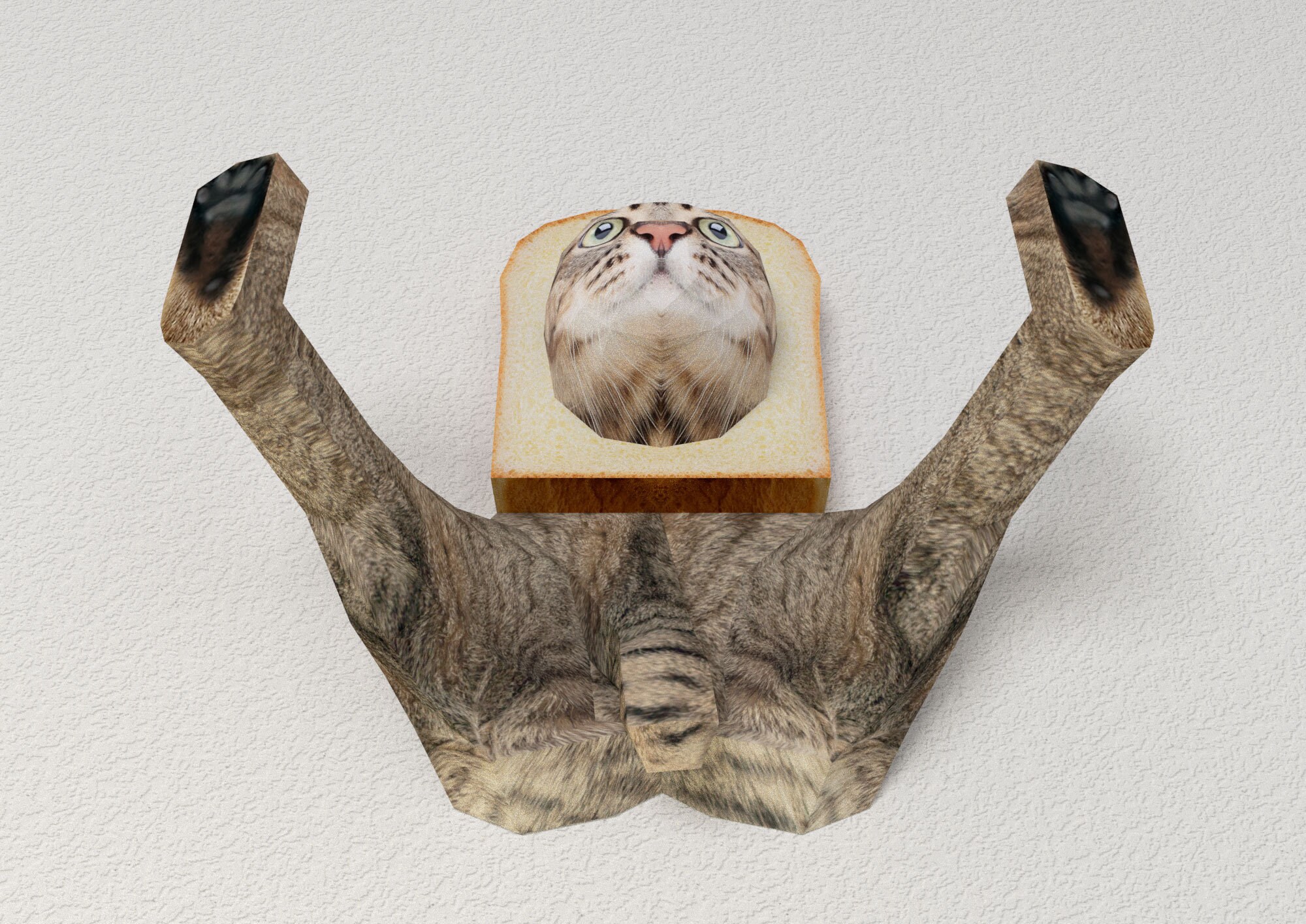 3D Paper Craft Low Poly Object Art Doll Model Pattern DIY - CAT & BREAD ...