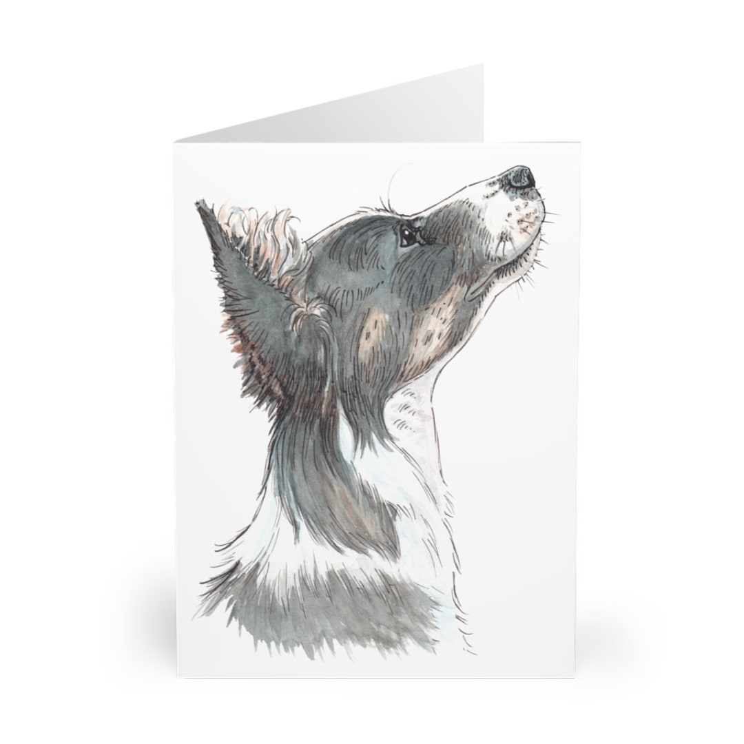 Border Collie Greeting Cards (5 Pack) - Etsy