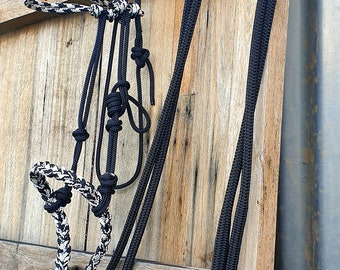 Loping Hackamore Bitless Bridle - Etsy