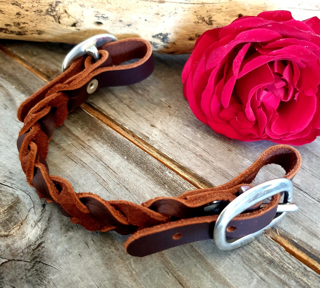 Leather Spliced Chin Strap/bit Hobbles 3 Colour Options - Etsy