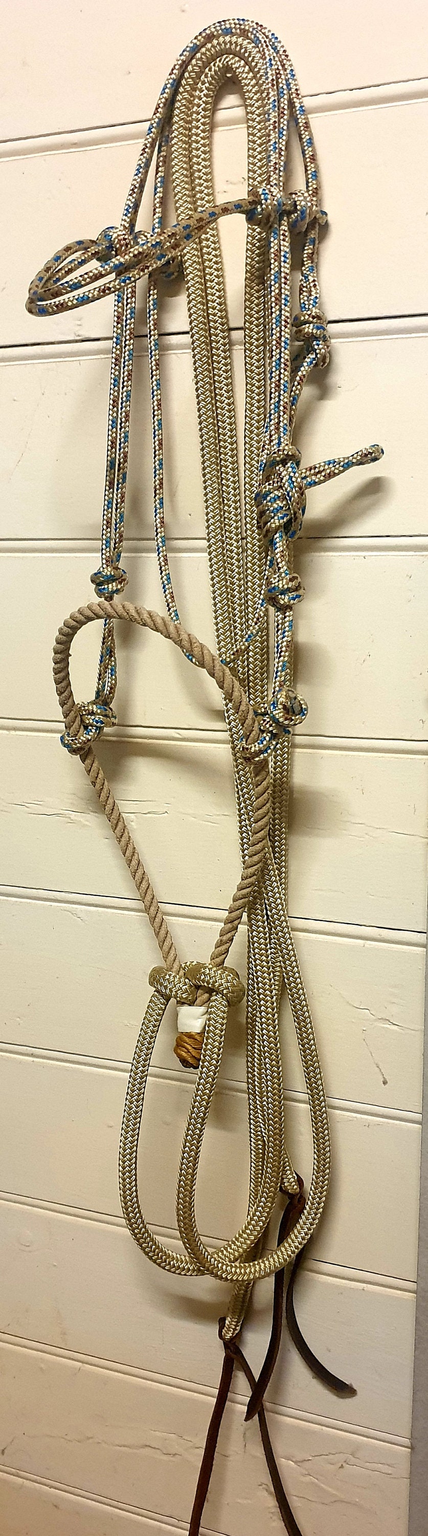Lariat Nose Loping Hackamore With Browband Headstall and Reins, Bit Less Bridle - Etsy