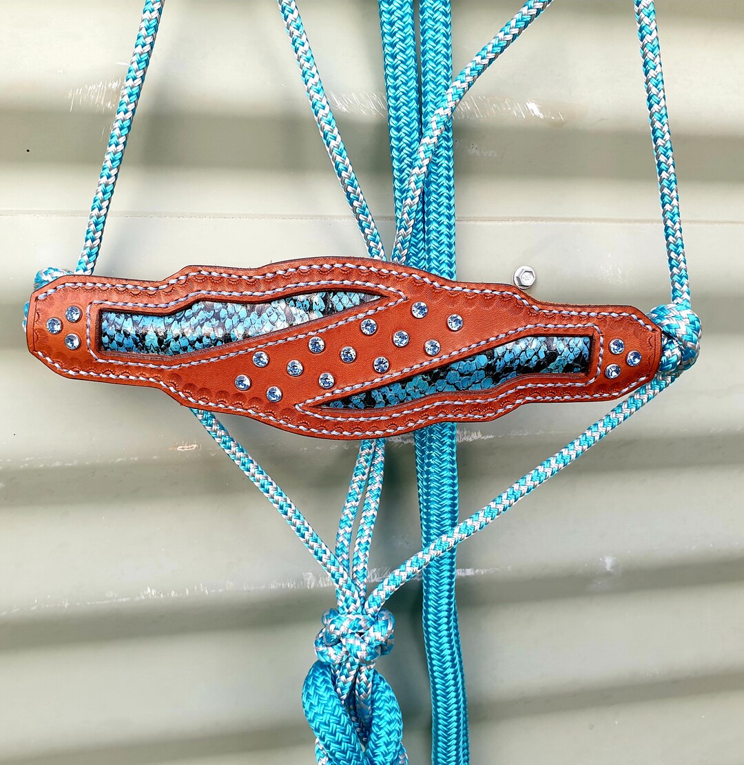 Turquoise Snake Print Inlay Bronc Nose Halter and Lead Set 009 - Etsy