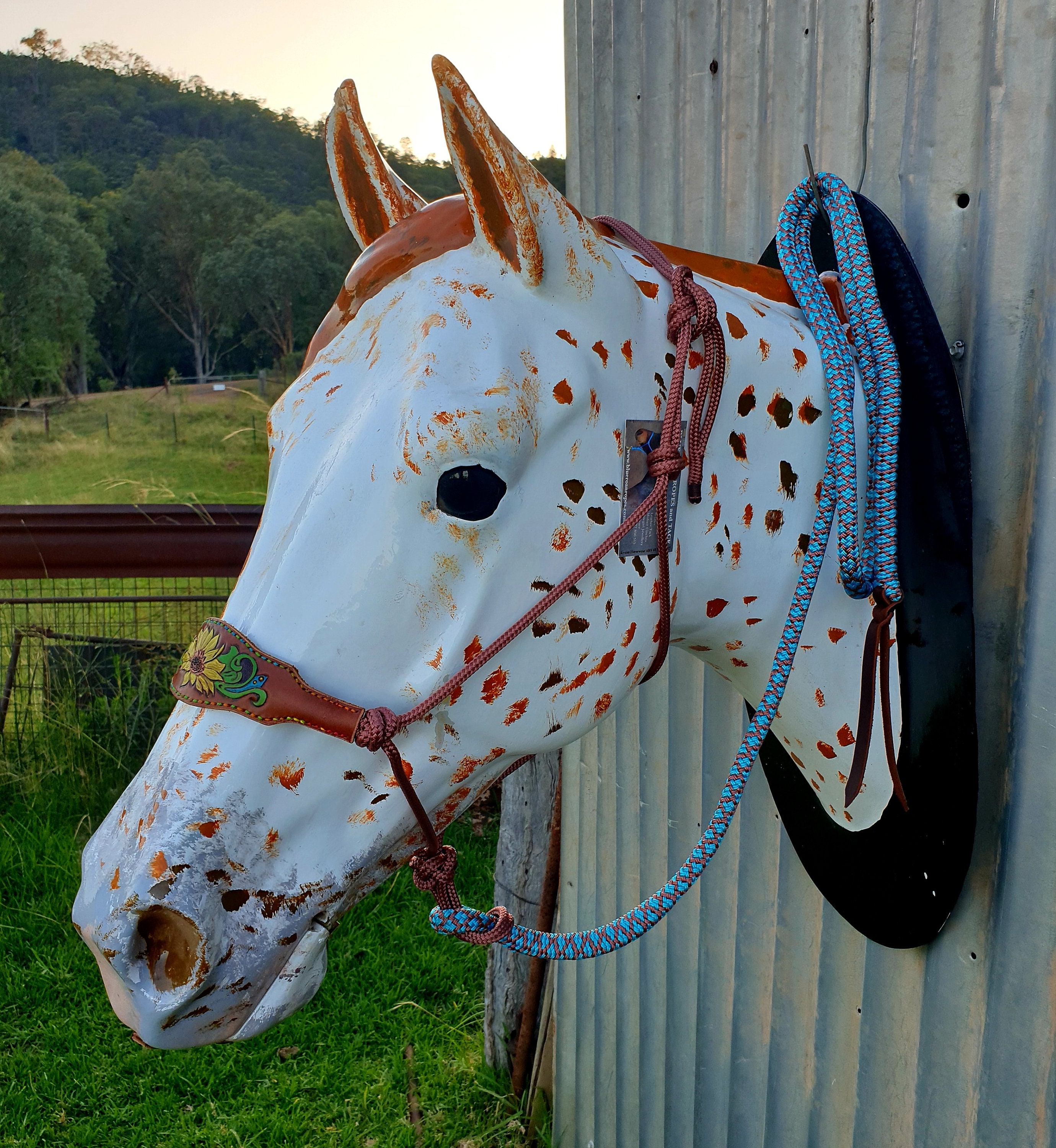 Carved Sunflower Scroll Bronc Nose Halter and Lead Set (004) - Etsy