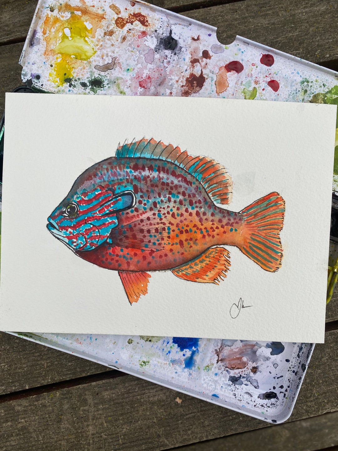 Original Longear Sunfish Watercolor Painting - Etsy