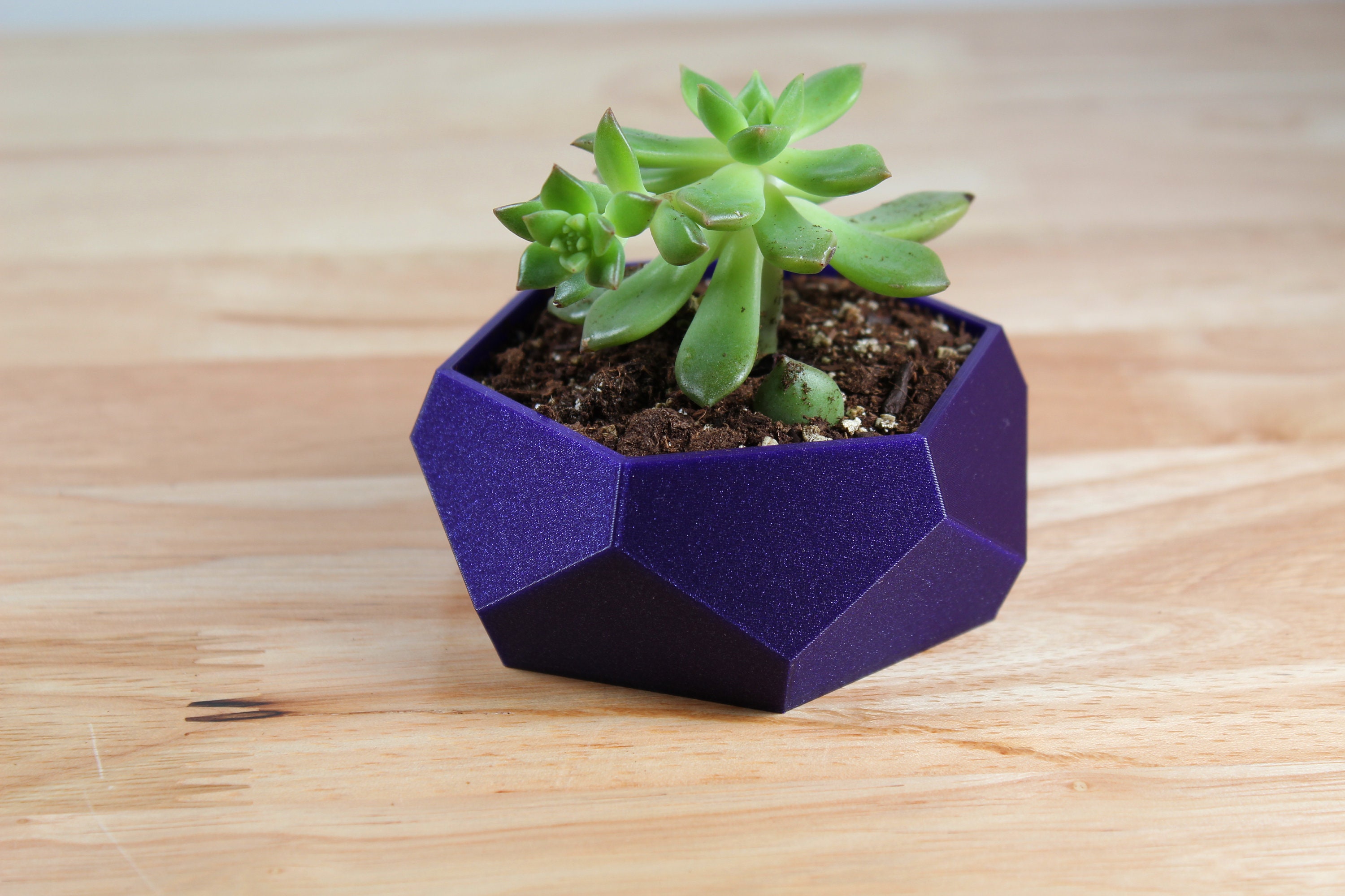 Mini Desk Planter Planter Desk Modern Cactus Planter Wall | Etsy