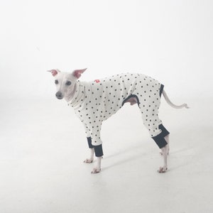Hosh Polka Dot Romper white/mustard for Italian Greyhound Dog - Etsy