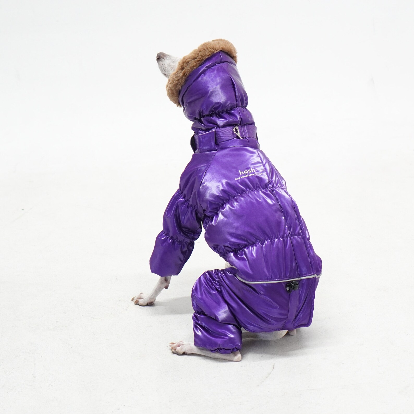 Italian Greyhound Padded Jumper | Puffer Coat for Iggy | Astro Dog ...