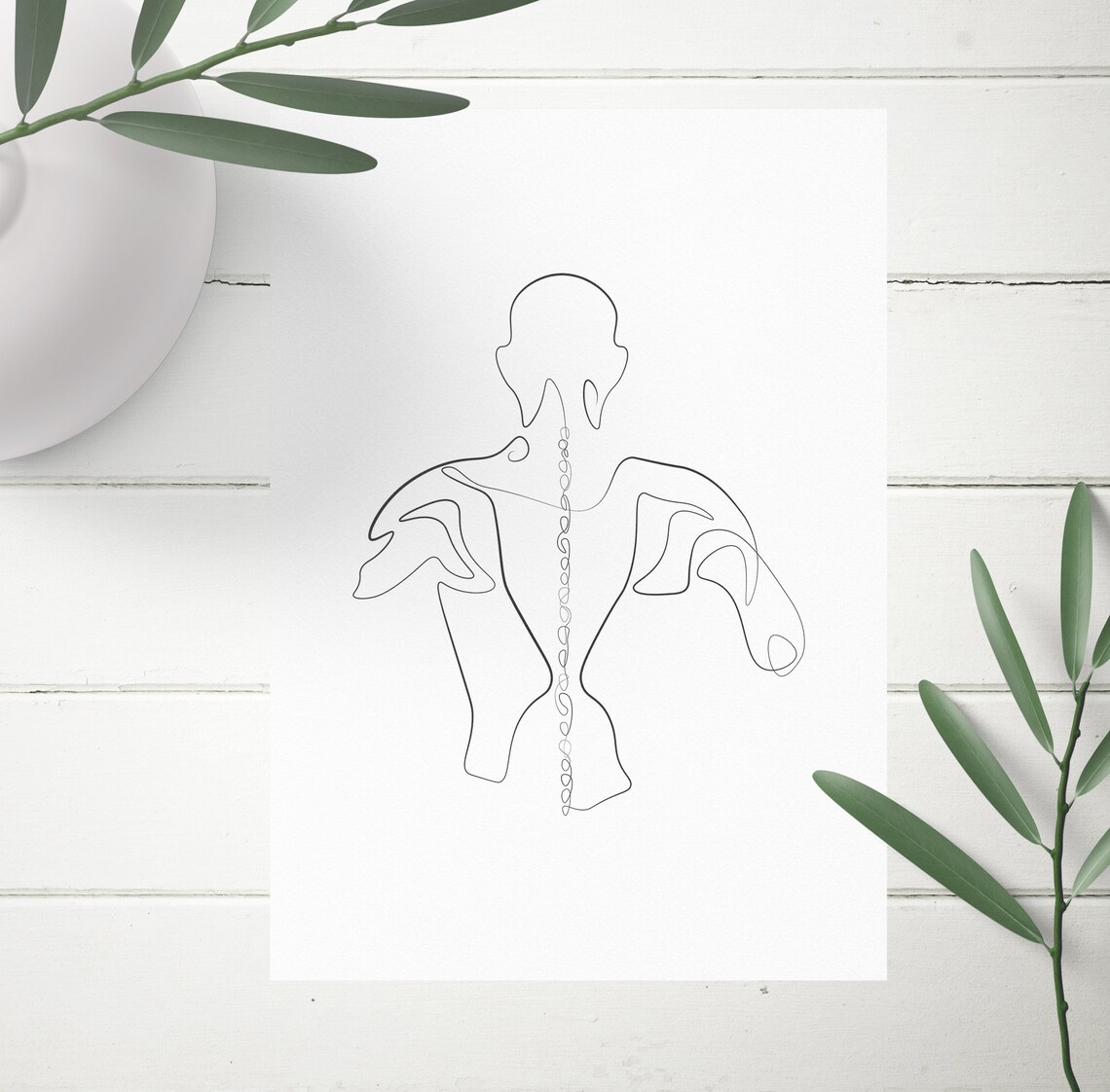 Back Anatomical Single Line Drawing Chiropractor Decor - Etsy
