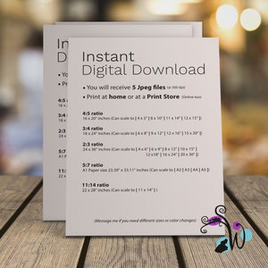 British Shorthair Illustration , Line Art Cat, Single Line Drawing ...