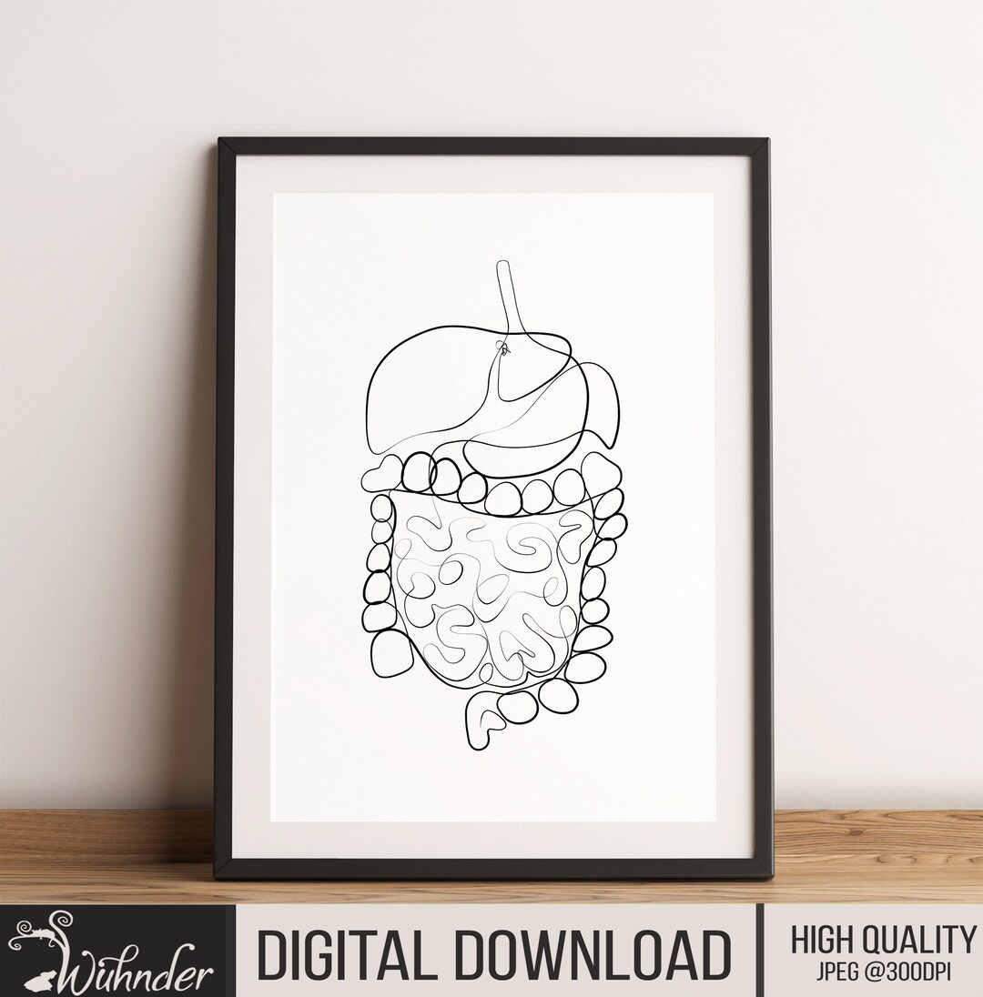 Anatomical Digestive System Single Line Drawing, Medical Art, Health ...