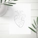 Anatomical Heart Single Line Drawing, Medical Art, Health Print, Heart ...
