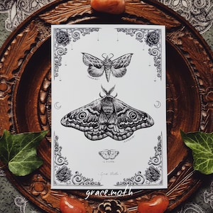 Emperor Moth A6 Print by Grace Moth 5.8 X 4.1 - Etsy