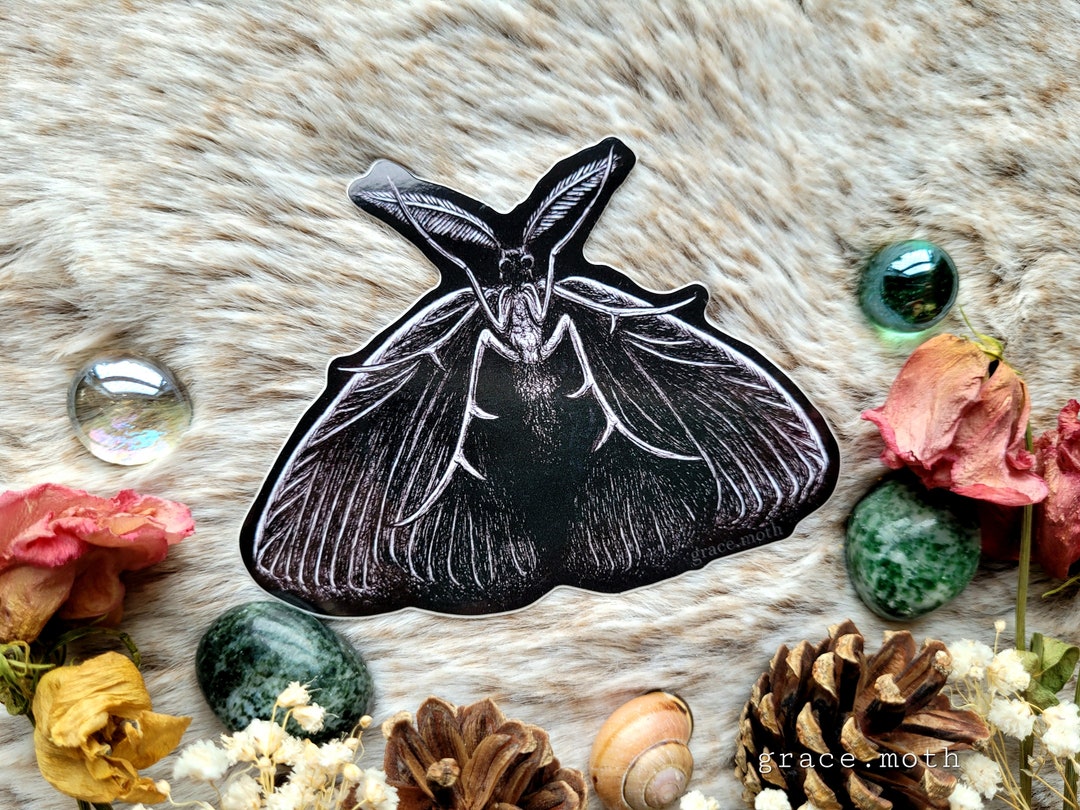 Dark Moth - Vinyl Sticker 10cm, Illustrated by Grace Moth - Cottagecore ...