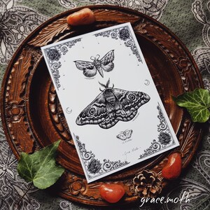 Emperor Moth A6 Print by Grace Moth 5.8 X 4.1 - Etsy