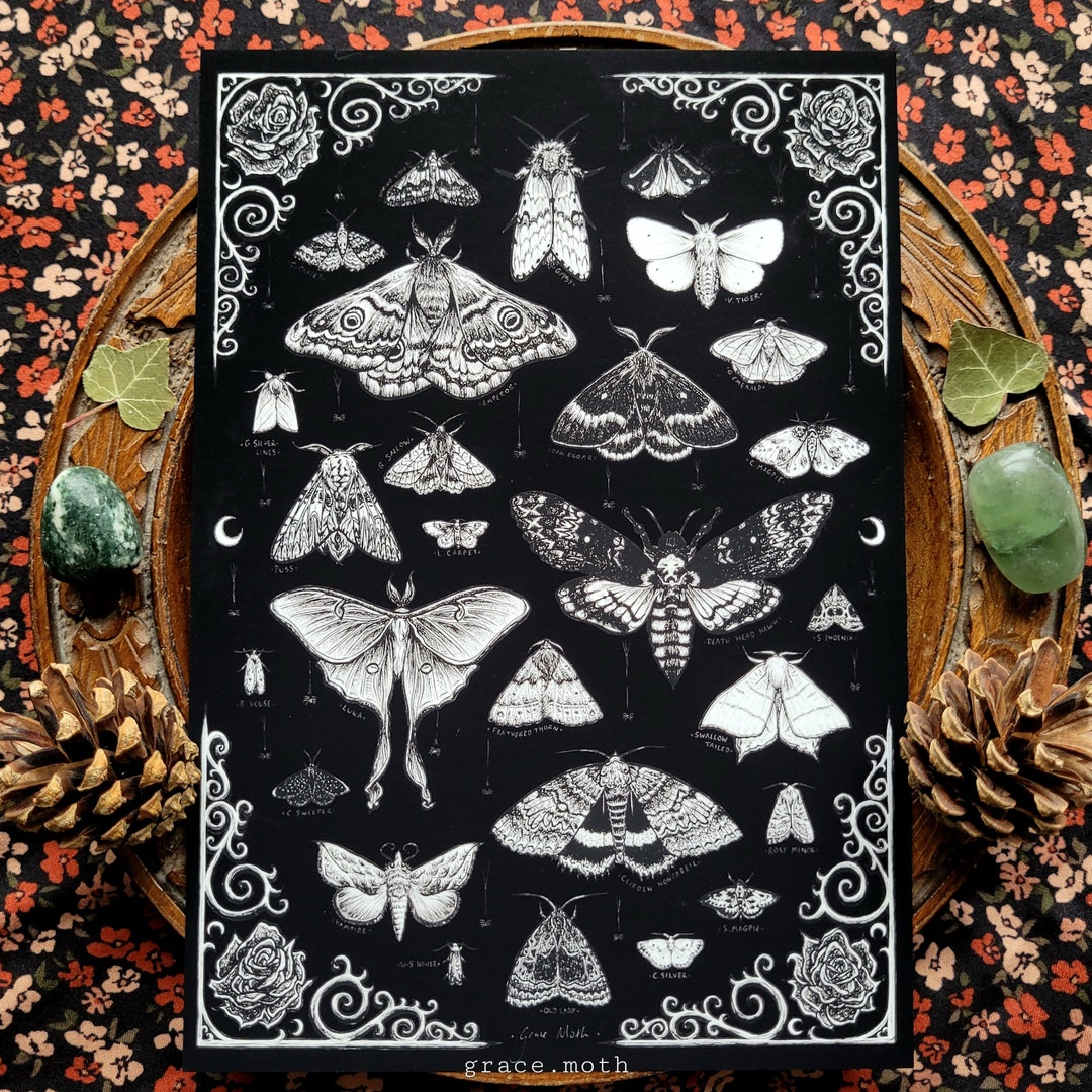 Black Moths - A5, A4 or A3 Art Print by Grace Moth - Etsy