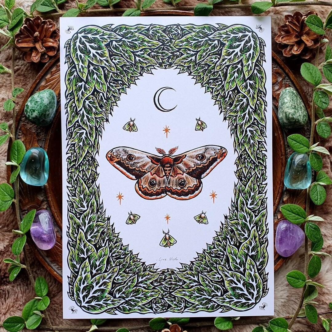 Emperor Moth - A5 Art Print by Grace Moth - 5.8 X 8.3 - Etsy