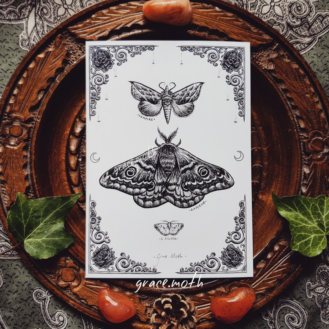 Emperor Moth A6 Print by Grace Moth 5.8 X 4.1 - Etsy