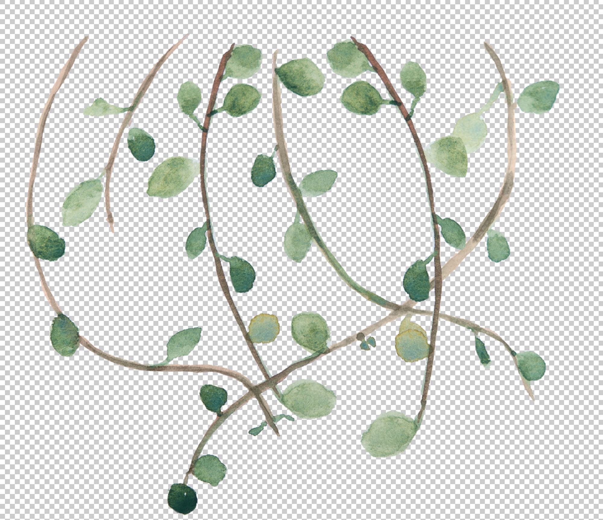 Watercolor Botanical Greenery Instant Download Watercolor | Etsy