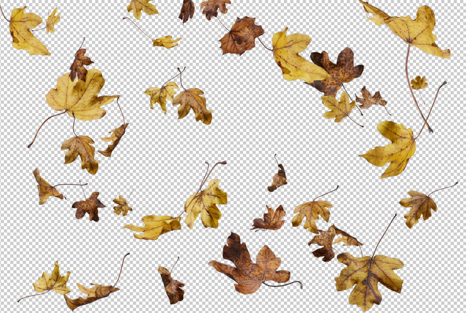 Photoshop Overlays Falling Leaves Photo Overlays Autumn | Etsy