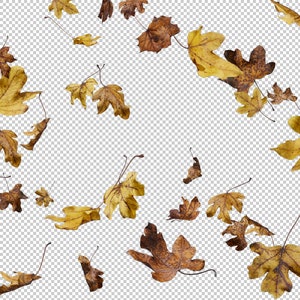 Photoshop Overlays, Falling Leaves Photo Overlays, Autumn Overlays ...