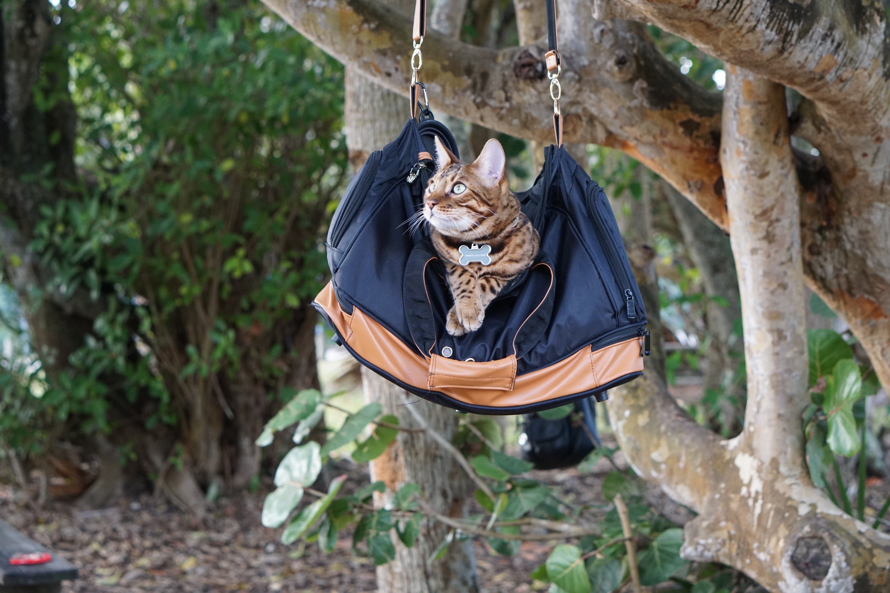 Complete Starter Kit | Etsy