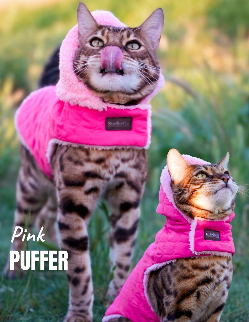 Cat Jacket Hideaway Hoodie Coat - Etsy