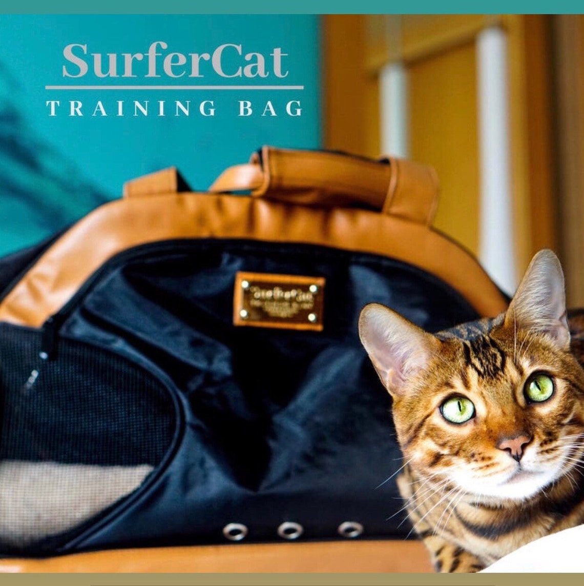 Complete Starter Kit | Etsy