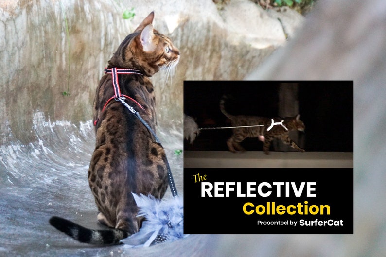 Reflective Escape Proof Cat Harness | Etsy