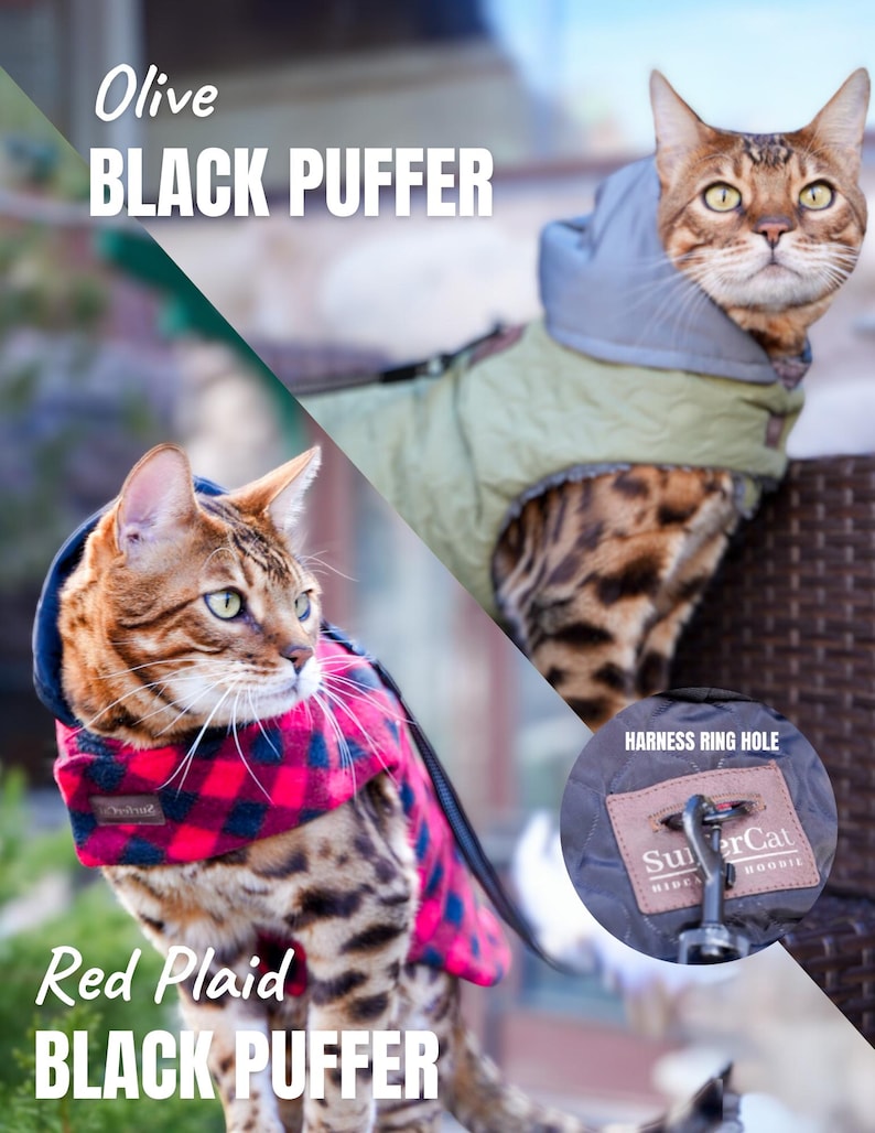 Cat Jacket Hideaway Hoodie Coat - Etsy