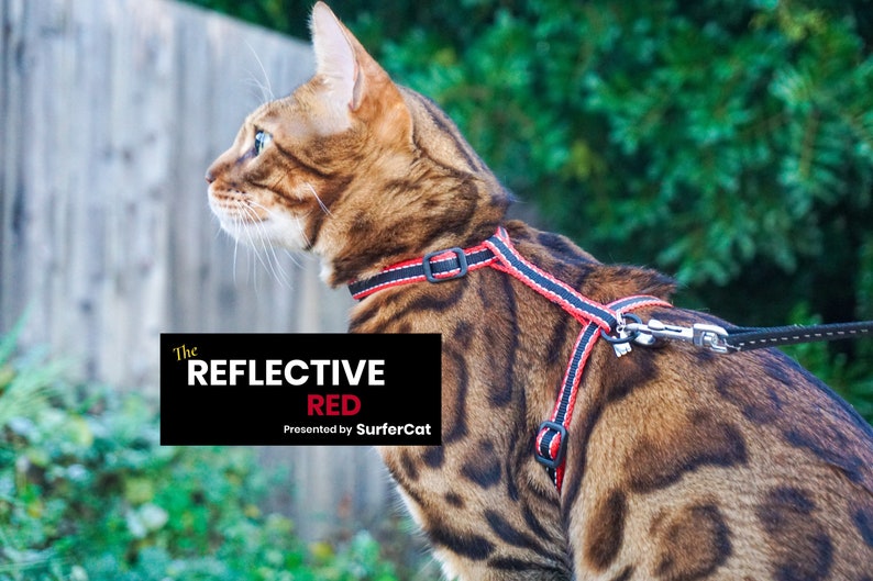 Reflective Escape Proof Cat Harness | Etsy