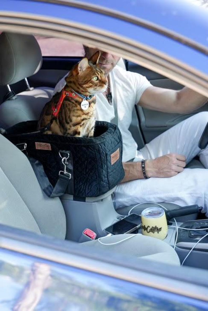 Cat Car Trainer: Elevated Console Travel Bed - Etsy